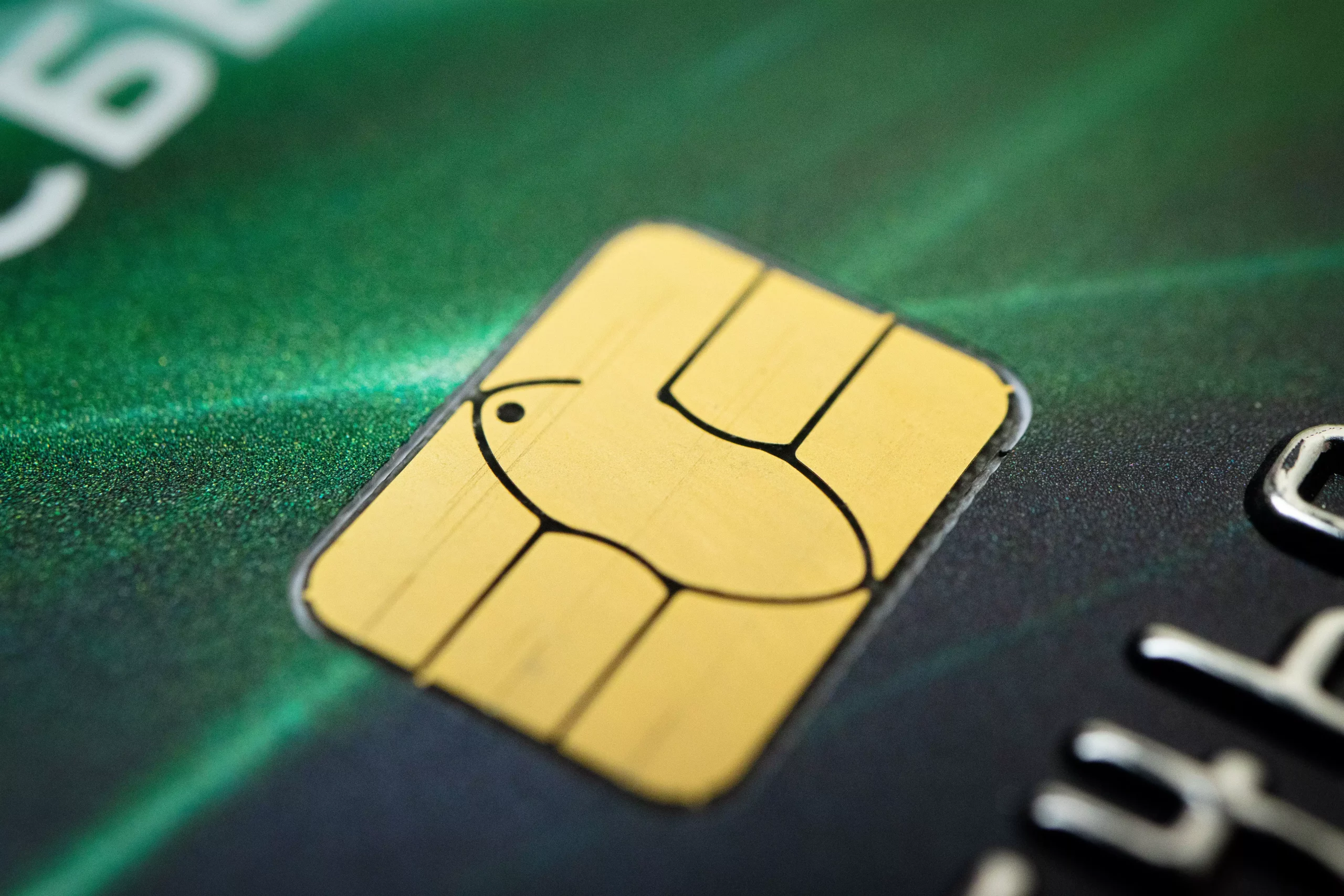 Benefits Of Using Accepting P Cards Evolve Payment Benefits Of Using Accepting P Cards Evolve Payment